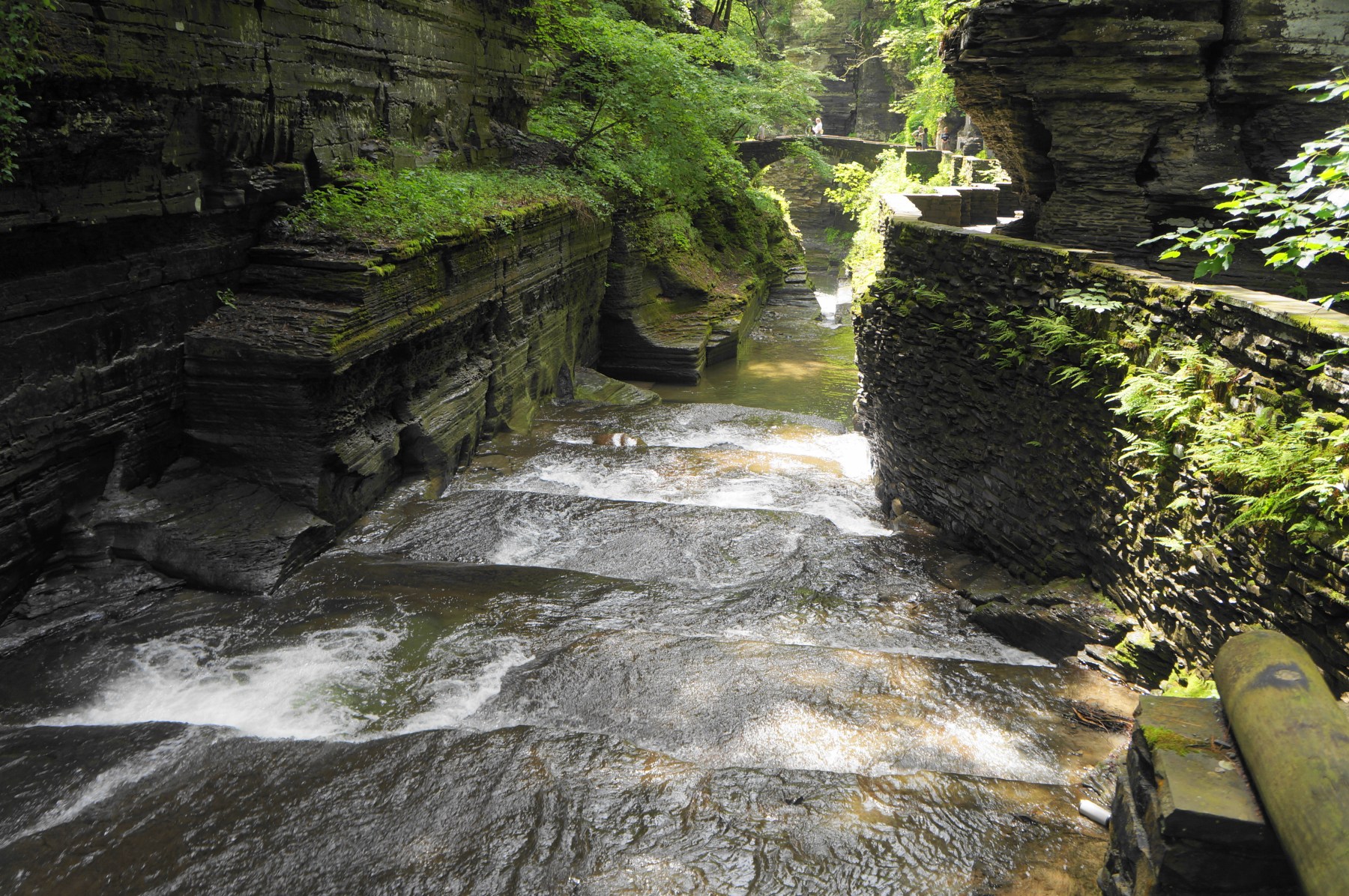 Gorge – Rim Trail Loop (Robert H. Treman State Park, NY) – Live and Let ...