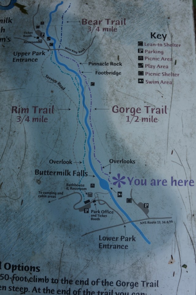 Gorge – Rim Trail Loop (Buttermilk Falls State Park, NY) – Live and Let ...