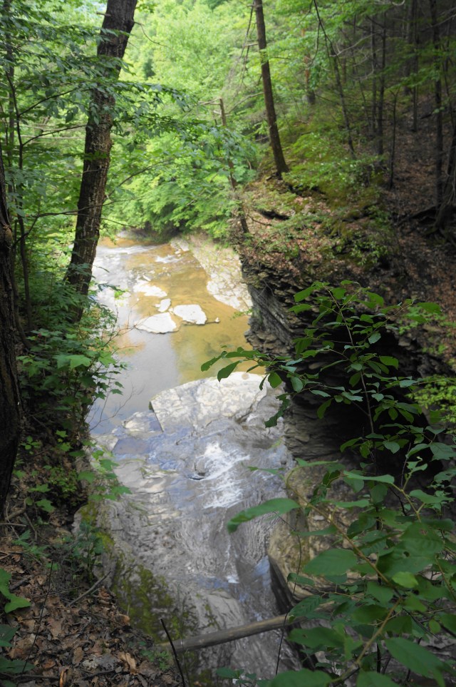 Gorge – Rim Trail Loop (Buttermilk Falls State Park, NY) – Live and Let ...