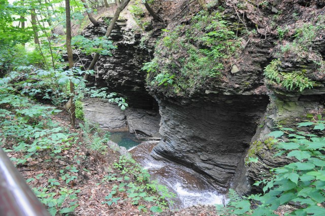 Gorge – Rim Trail Loop (Buttermilk Falls State Park, NY) – Live and Let ...