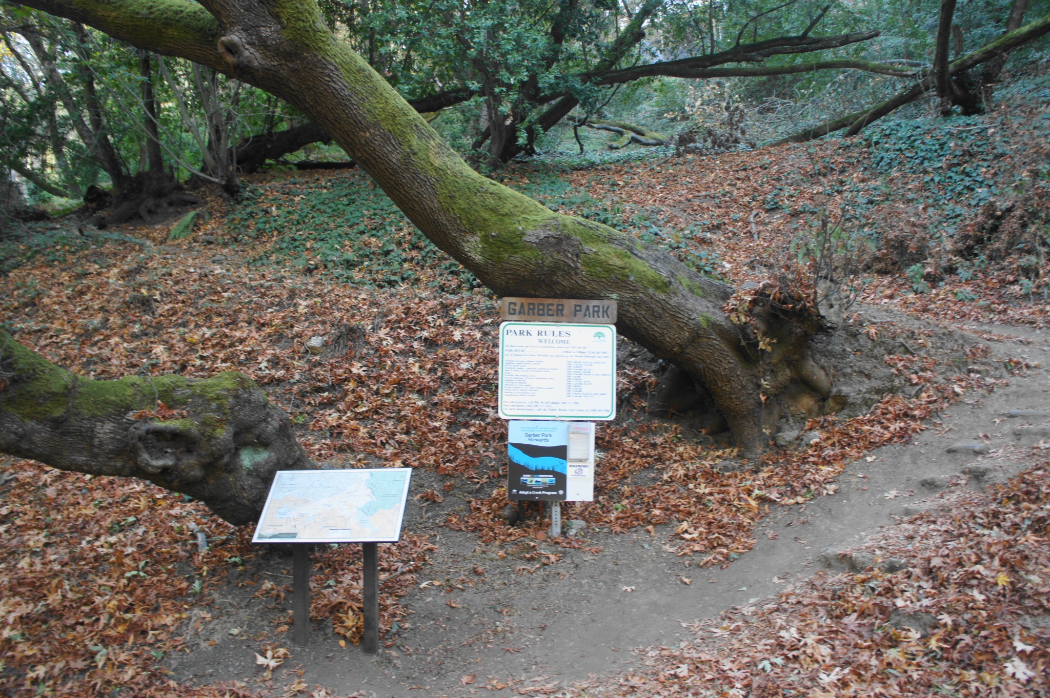 Claremont Canyon & UC-Berkeley Hikes – Live and Let Hike