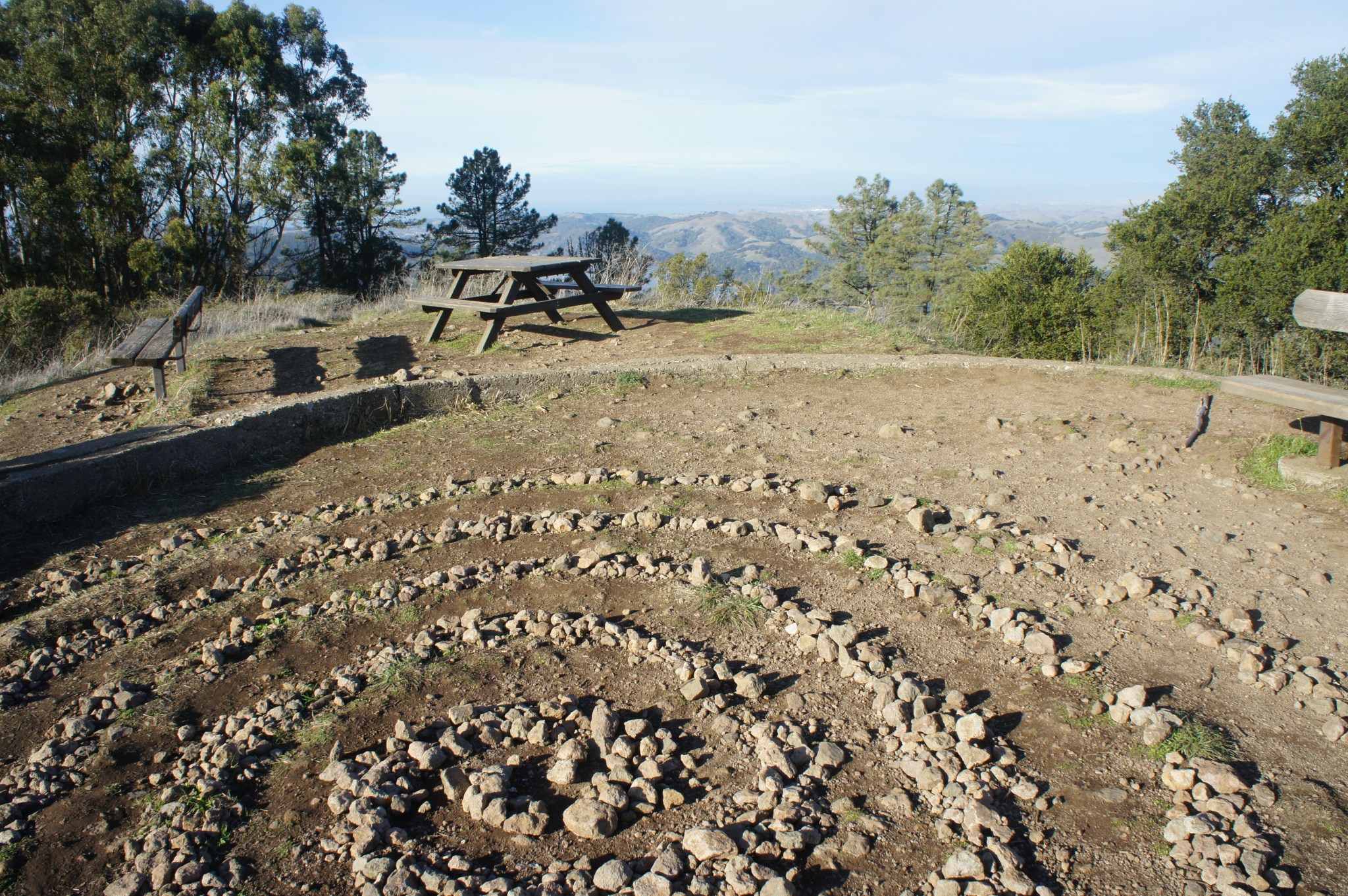 Top 10 Hikes in Tilden Regional Park – Live and Let Hike