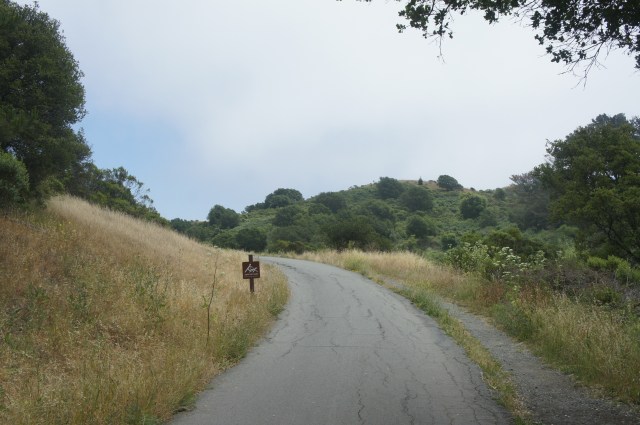 Top 10 Hikes in Tilden Regional Park – Live and Let Hike