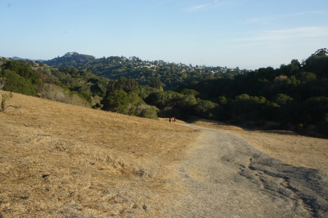Hikes in Wildcat Canyon Regional Park – Live and Let Hike