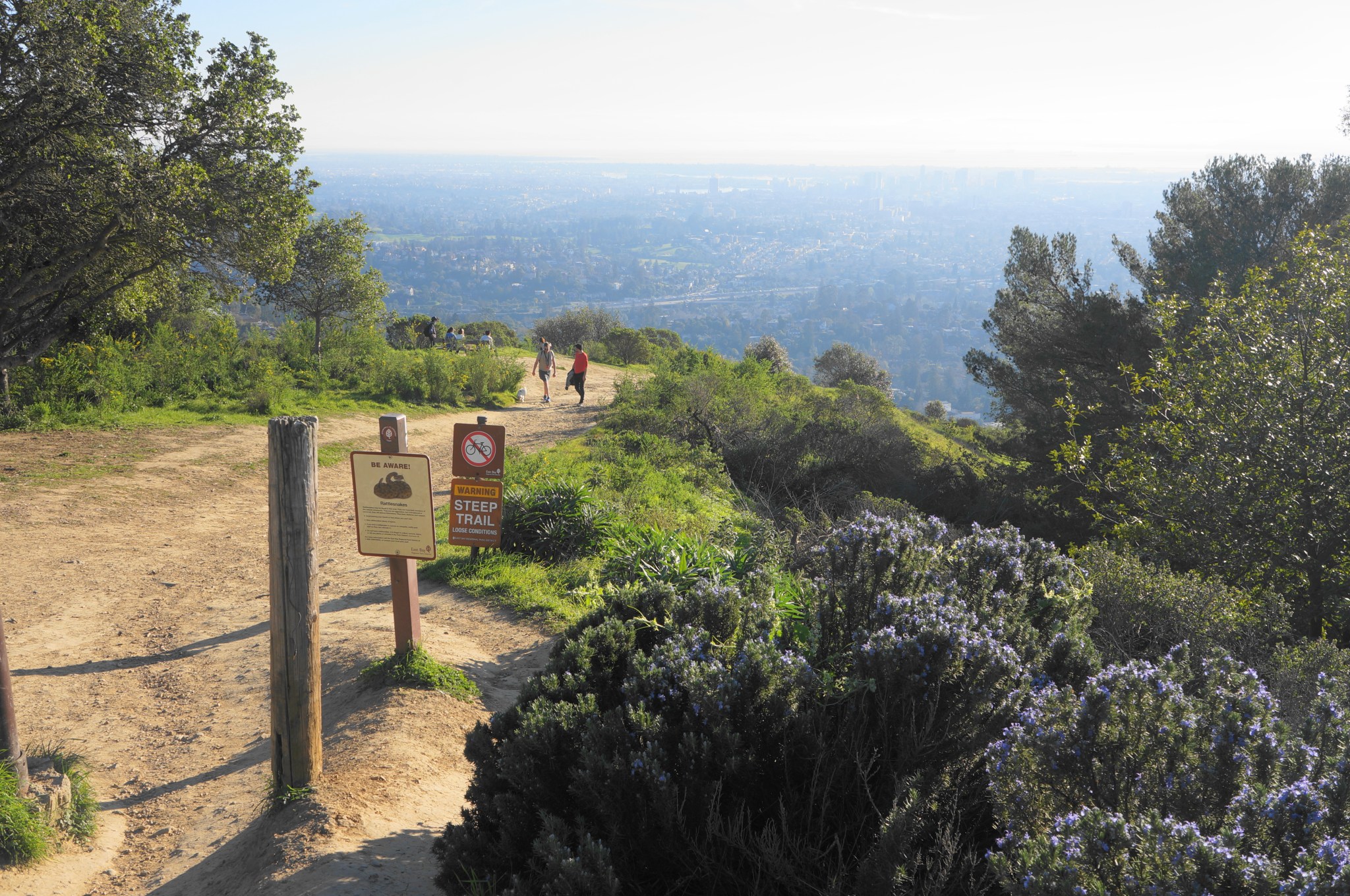 Claremont Canyon & UC-Berkeley Hikes – Live and Let Hike