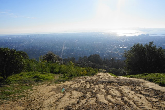 Claremont Canyon & UC-Berkeley Hikes – Live and Let Hike