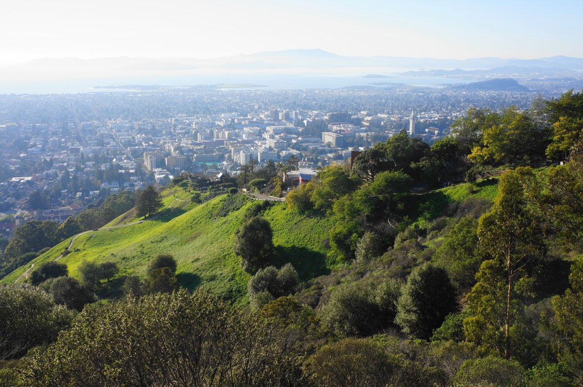 Claremont Canyon & UC-Berkeley Hikes – Live and Let Hike
