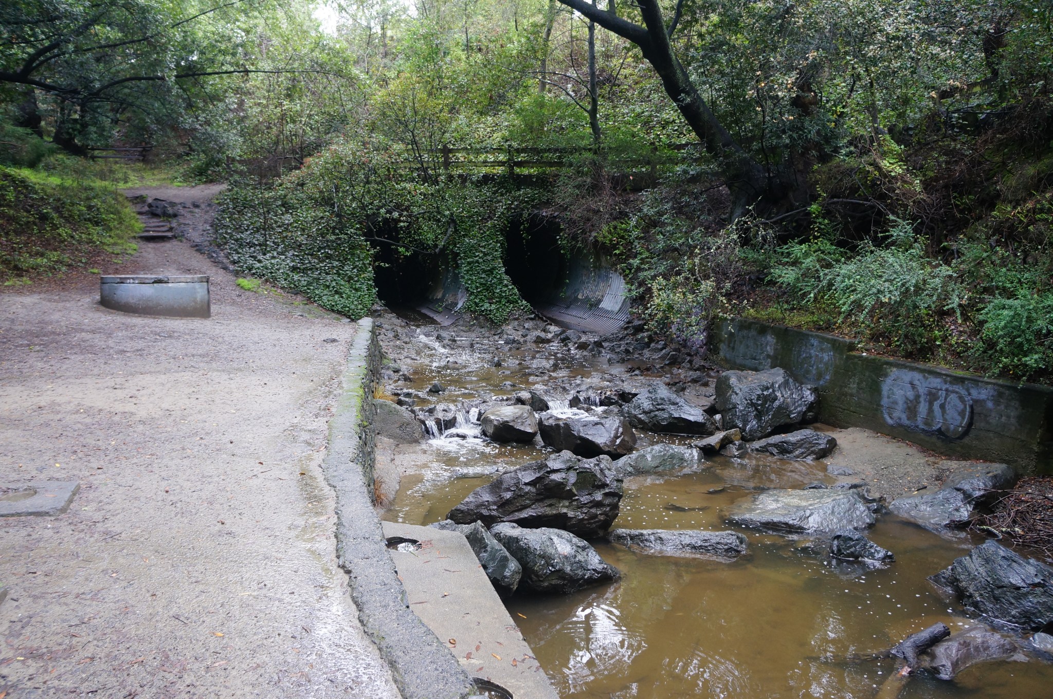 Hikes in Wildcat Canyon Regional Park – Live and Let Hike