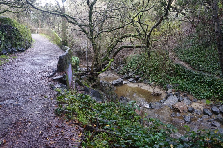 Hikes in Wildcat Canyon Regional Park – Live and Let Hike