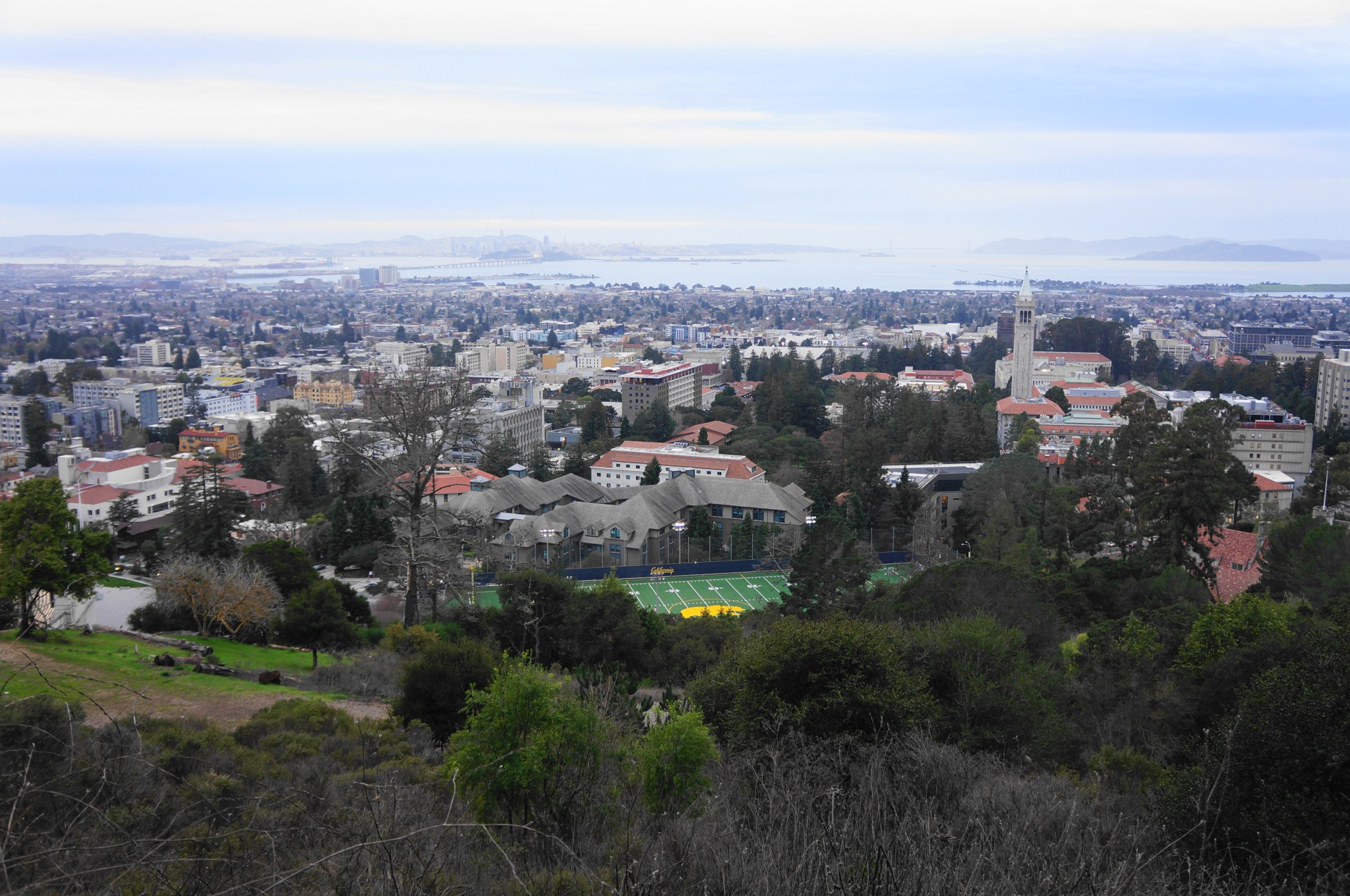 Claremont Canyon & UC-Berkeley Hikes – Live and Let Hike