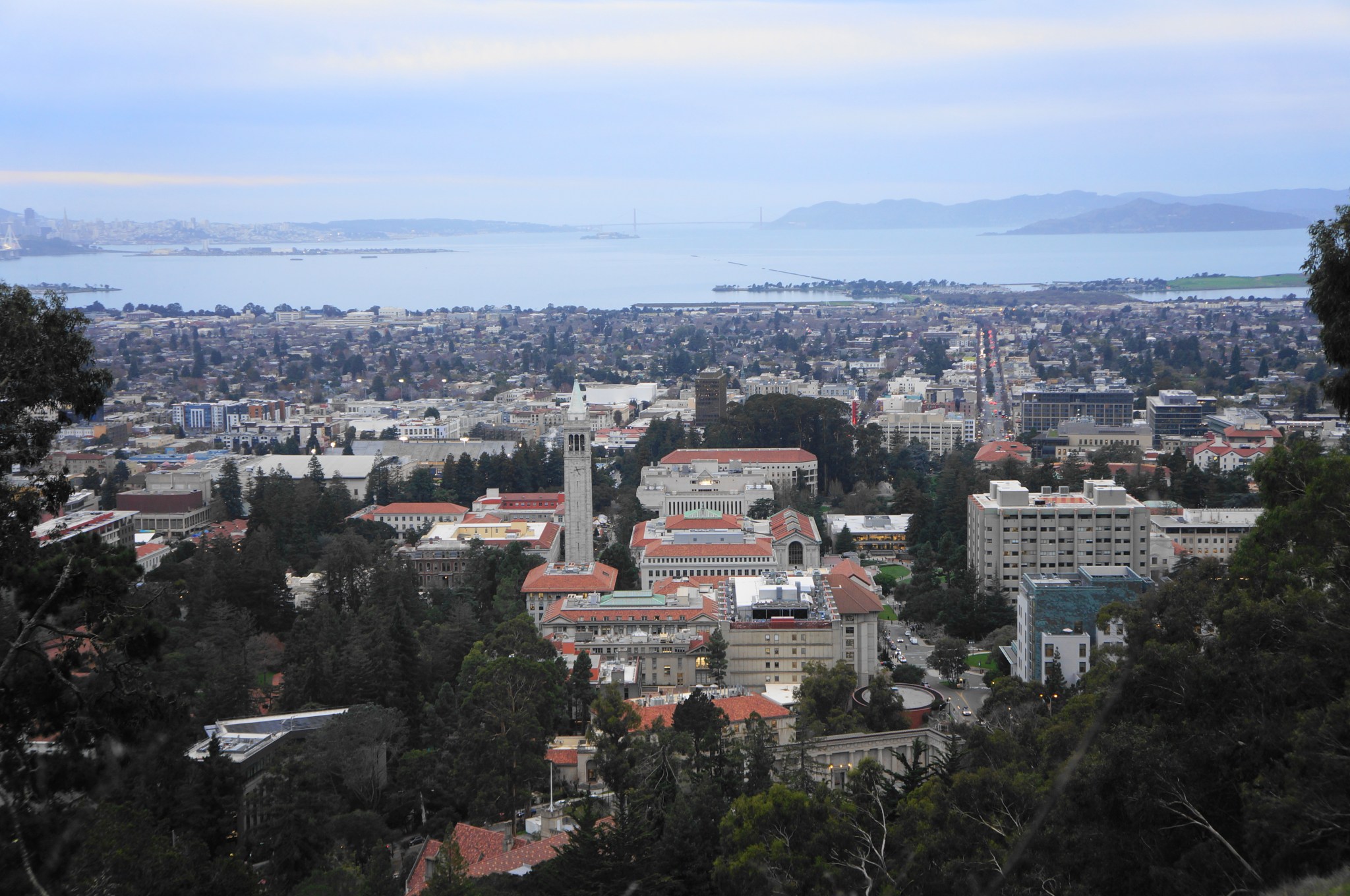 Claremont Canyon & UC-Berkeley Hikes – Live and Let Hike