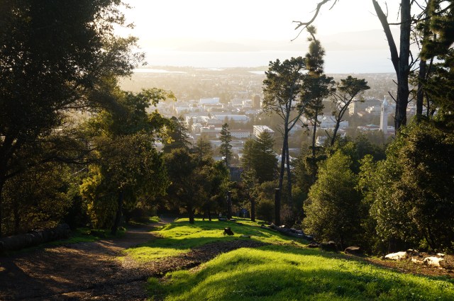 Claremont Canyon & UC-Berkeley Hikes – Live and Let Hike