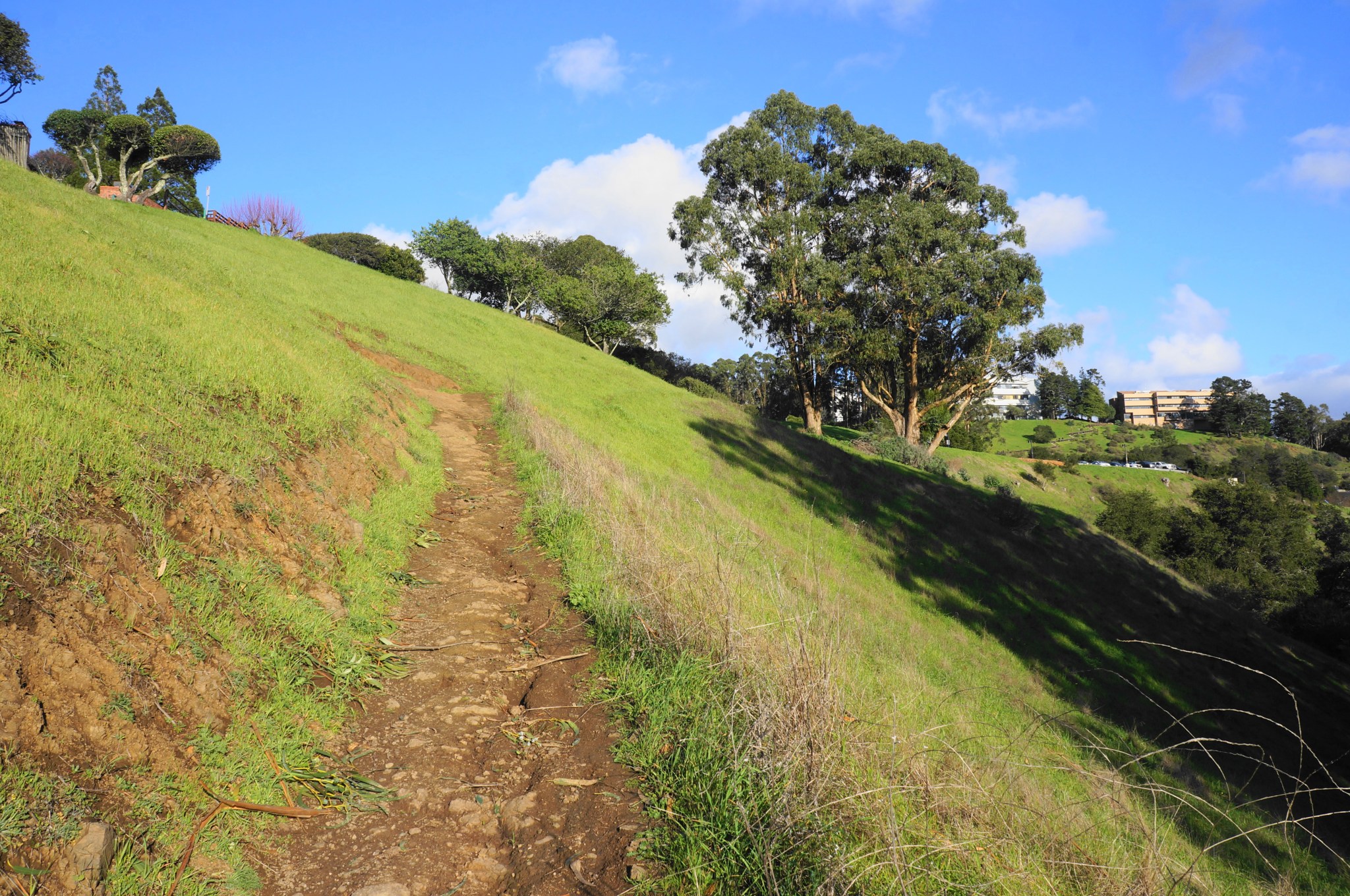 Claremont Canyon & UC-Berkeley Hikes – Live and Let Hike