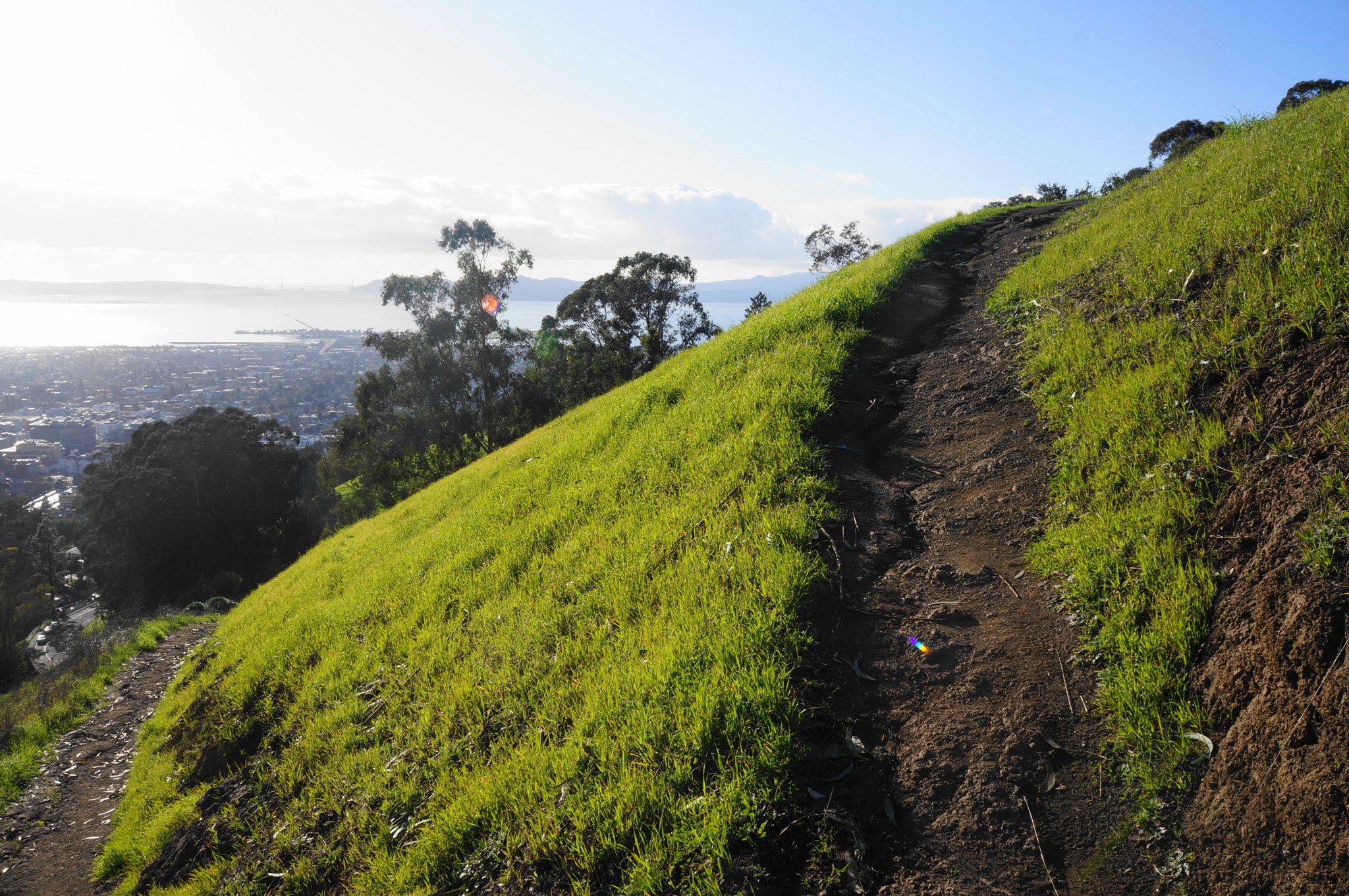 Claremont Canyon & UC-Berkeley Hikes – Live and Let Hike