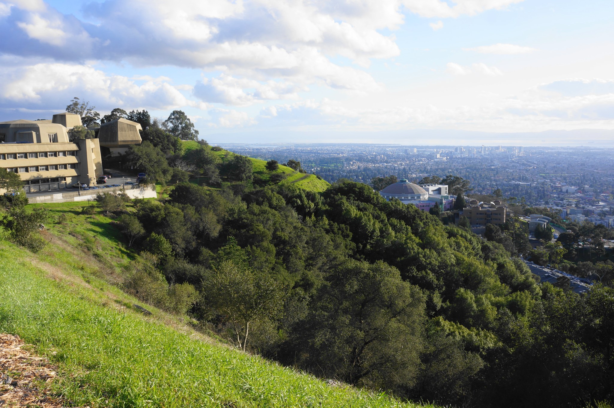 Claremont Canyon & UC-Berkeley Hikes – Live and Let Hike
