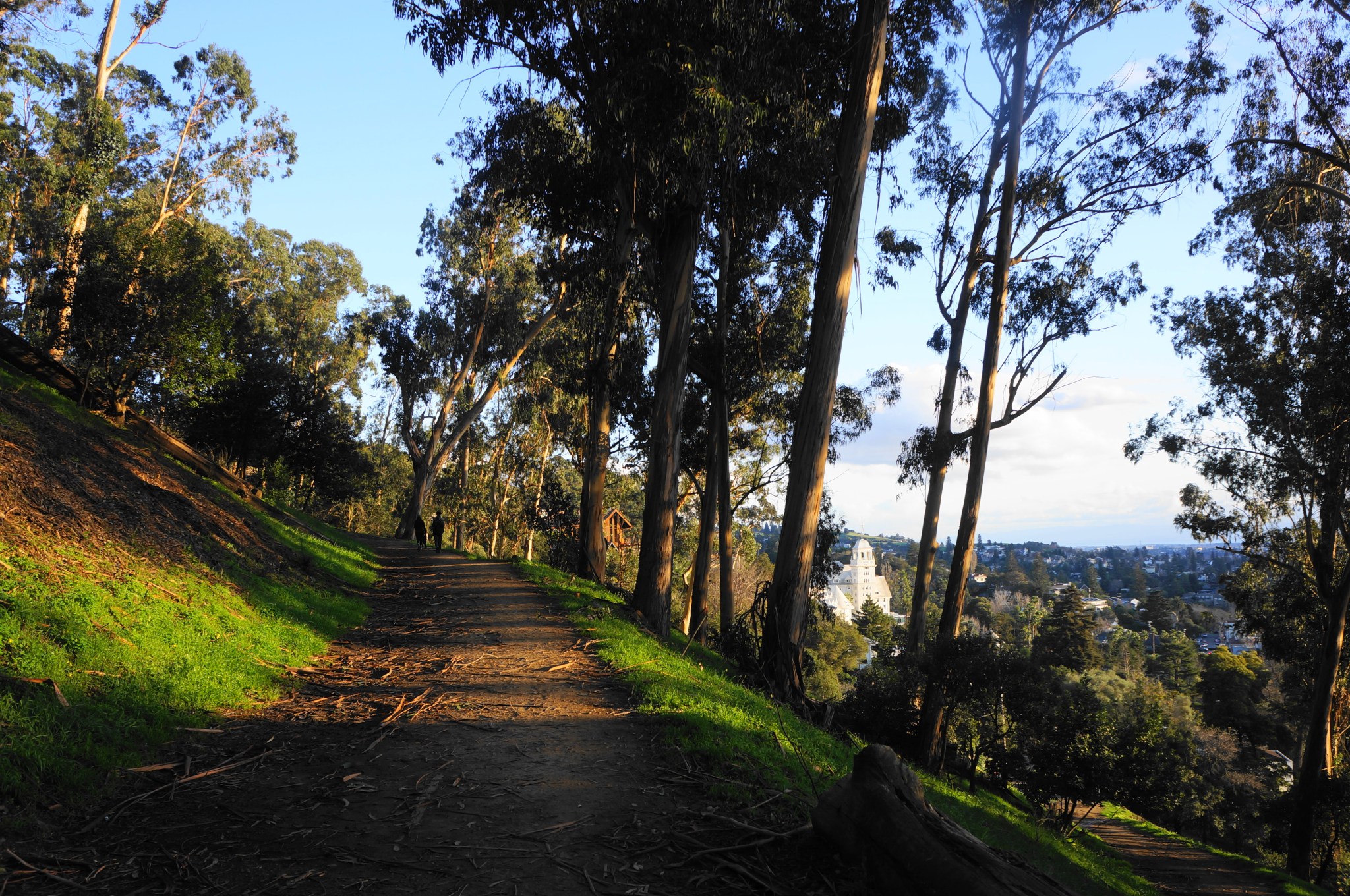 Claremont Canyon & UC-Berkeley Hikes – Live and Let Hike