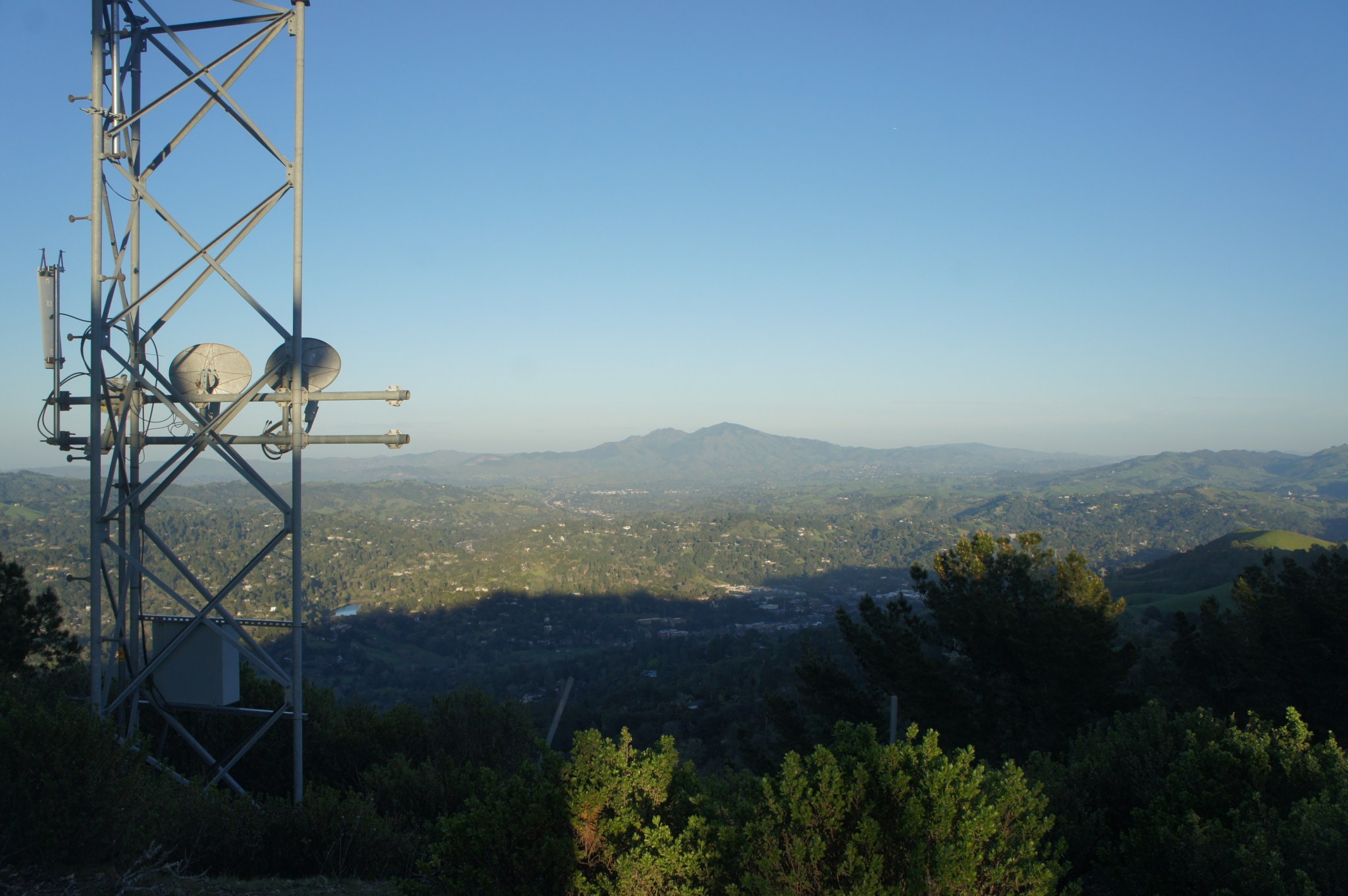 Top 10 Hikes in Tilden Regional Park – Live and Let Hike