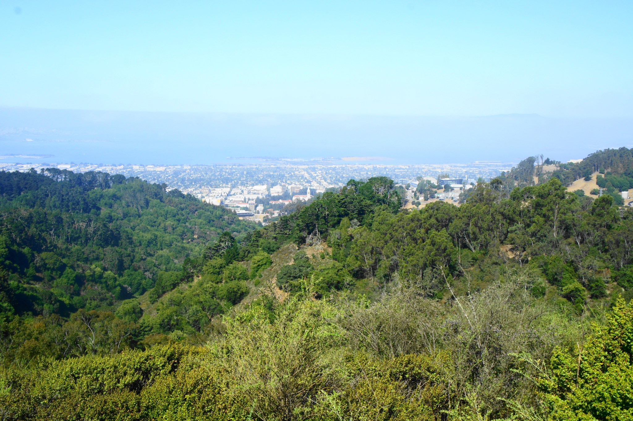 Claremont Canyon & UC-Berkeley Hikes – Live and Let Hike
