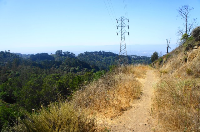 Claremont Canyon & UC-Berkeley Hikes – Live and Let Hike
