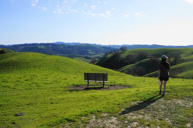 Hikes in Fernandez Ranch – Live and Let Hike