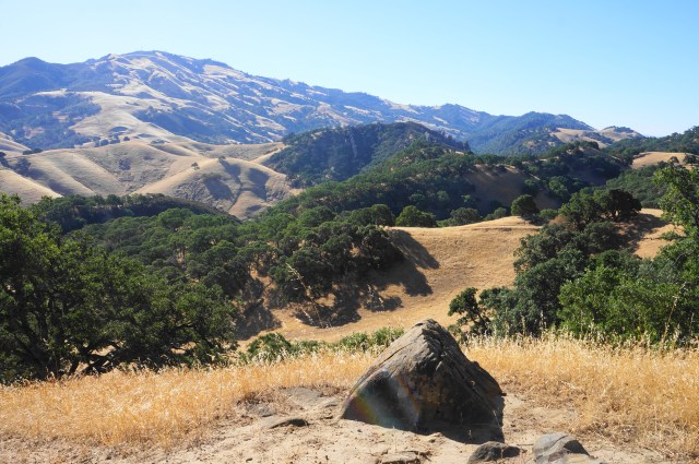 Hikes in Diablo Foothills Regional Park – Live and Let Hike