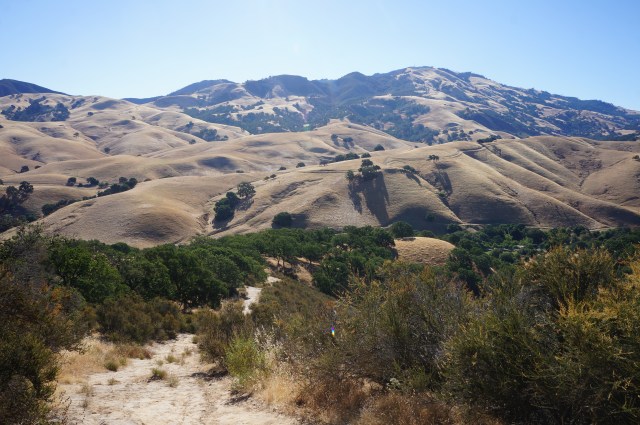 Hikes in Diablo Foothills Regional Park – Live and Let Hike