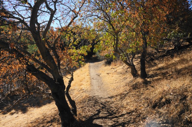 Hikes in Diablo Foothills Regional Park – Live and Let Hike