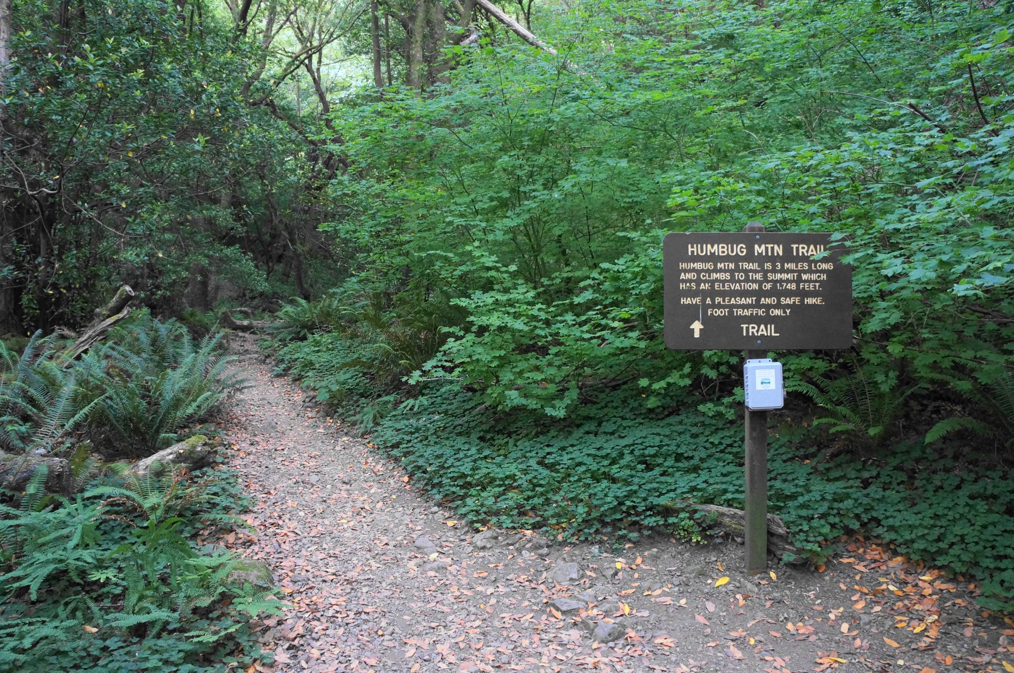 Humbug Mountain Trail (Humbug Mountain State Park, OR) – Live and Let Hike