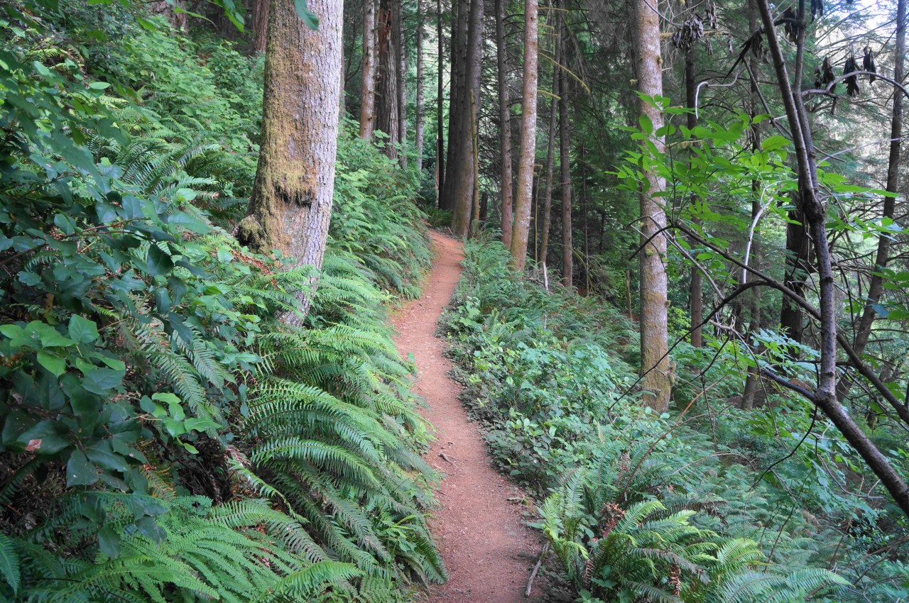 Humbug Mountain Trail (Humbug Mountain State Park, OR) – Live and Let Hike