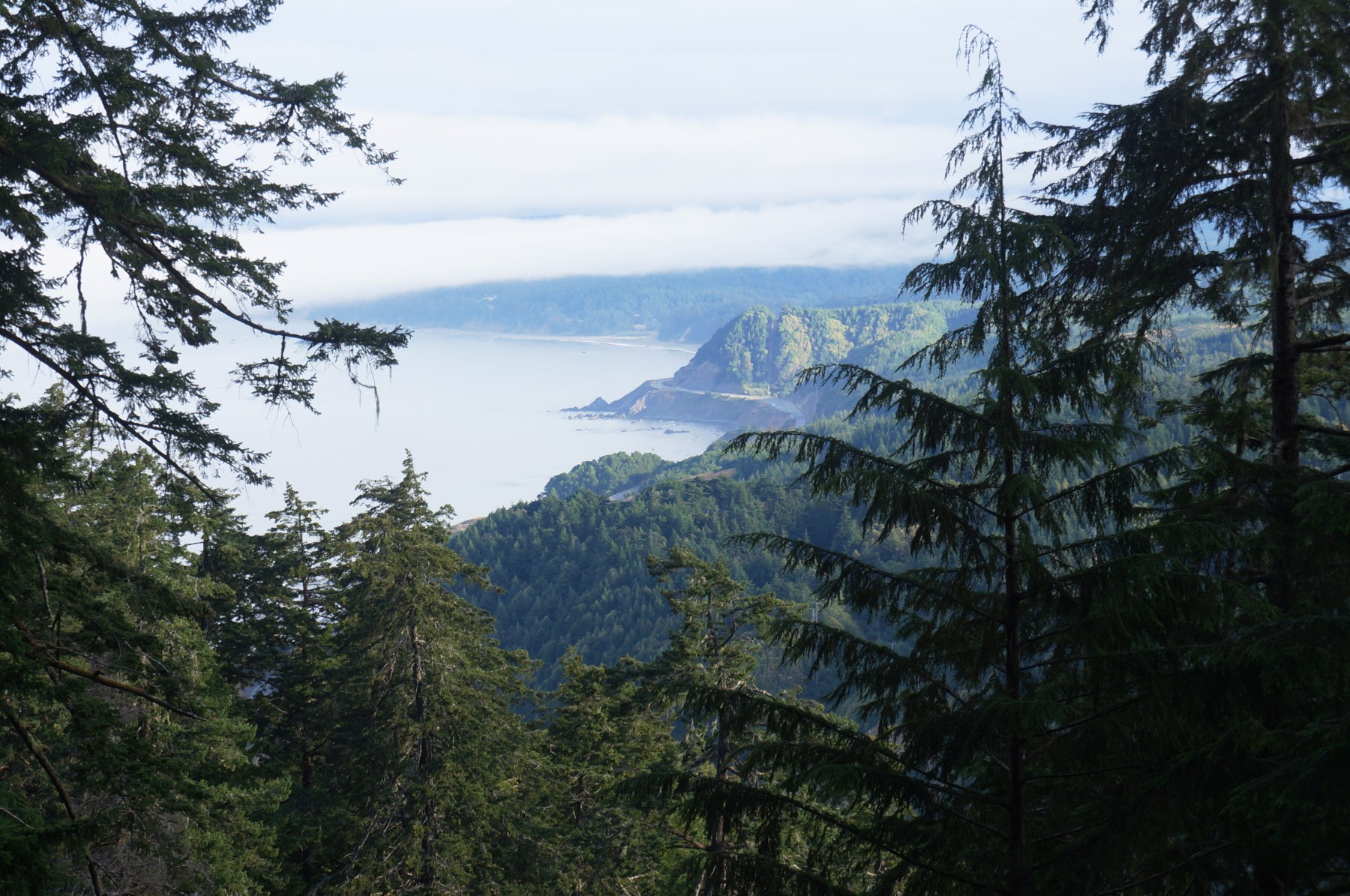 Humbug Mountain Trail (Humbug Mountain State Park, OR) – Live and Let Hike