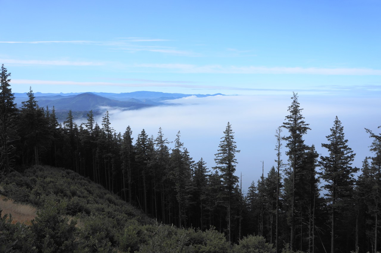 Humbug Mountain Trail (Humbug Mountain State Park, OR) – Live and Let Hike
