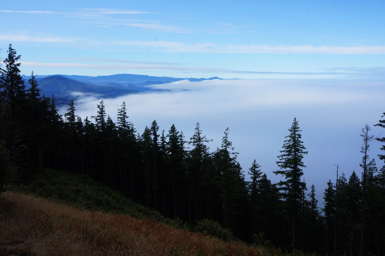 Humbug Mountain Trail (Humbug Mountain State Park, OR) – Live and Let Hike