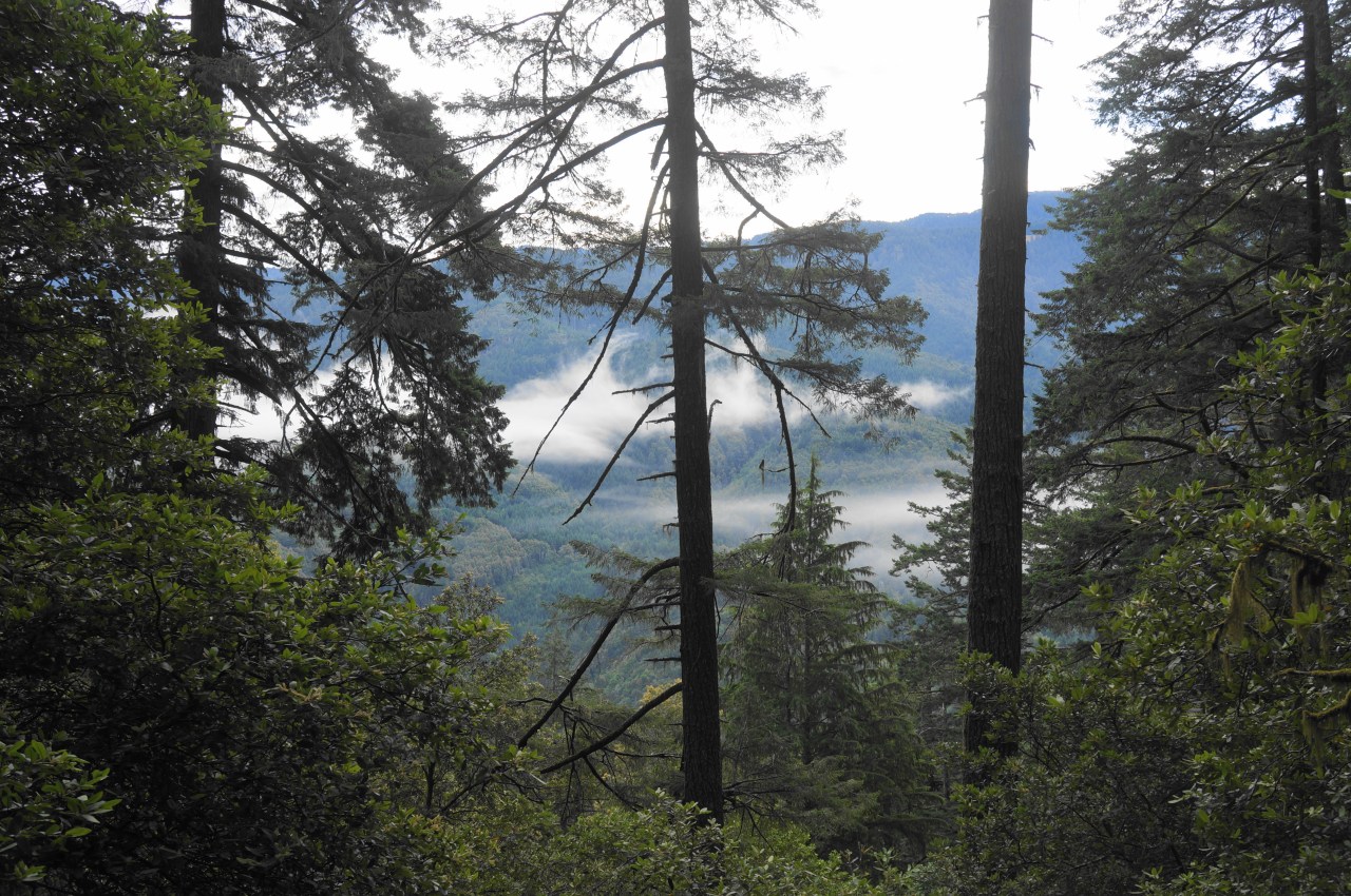 Humbug Mountain Trail (Humbug Mountain State Park, OR) – Live and Let Hike