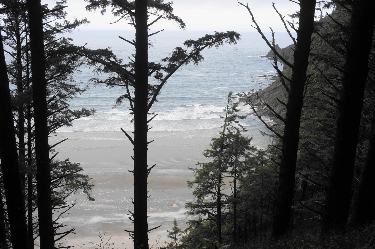 Cape Falcon Trail (Oswald West State Park, OR) – Live and Let Hike