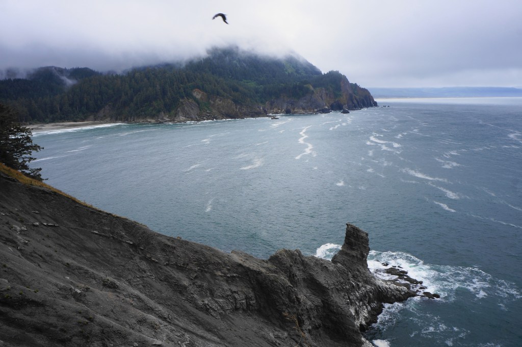 Cape Falcon Trail (Oswald West State Park, OR) – Live and Let Hike