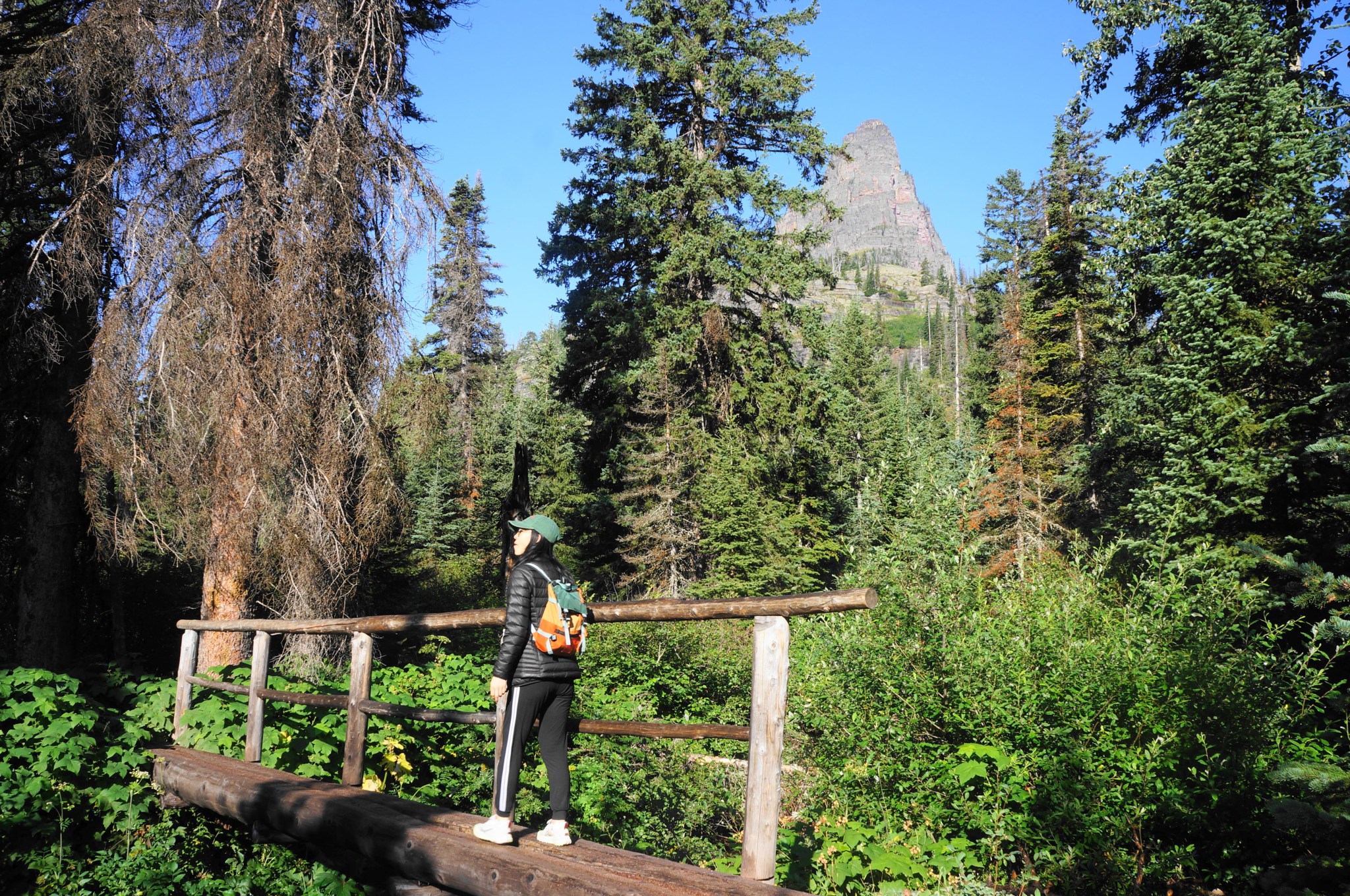 Twin Falls & Upper Two Medicine Lake (Glacier National Park, MT) – Live ...
