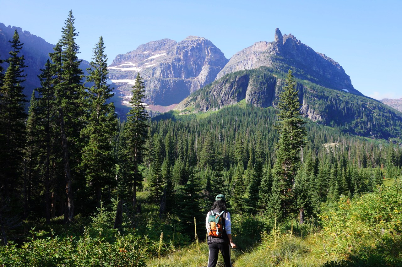 Twin Falls & Upper Two Medicine Lake (Glacier National Park, MT) – Live ...
