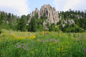 Black Elk Peak Loop (Black Elk Wilderness, SD) – Live and Let Hike